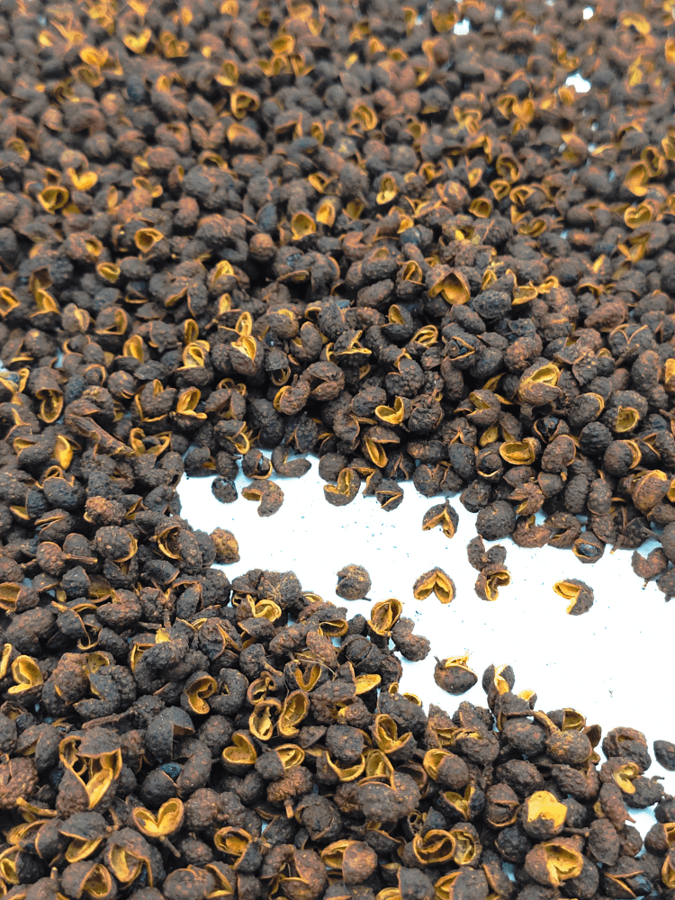 Timut pepř | PRAVÁ CHUŤ